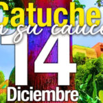 UCAB y Catuche invitan a los caraqueños a sumergirse en su vida ...